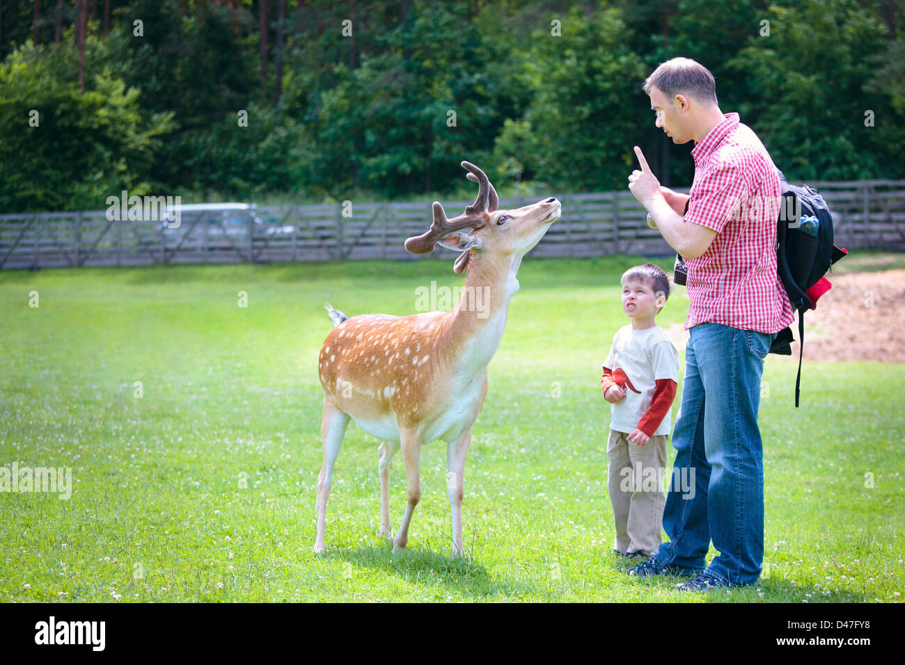 Father son goat hi-res stock photography and images - Alamy