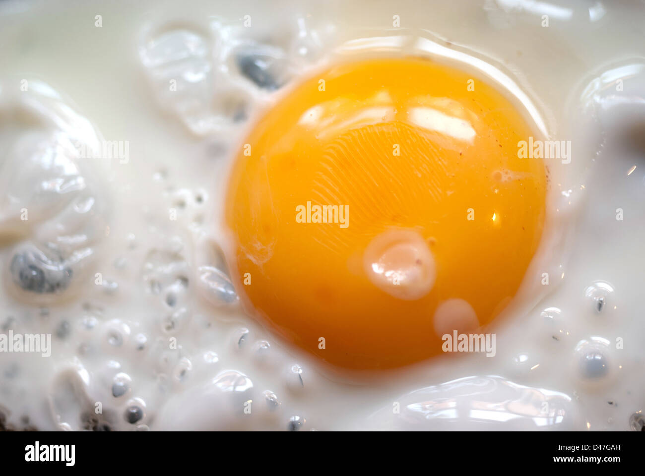 Close cup of yellow egg yolk Stock Photo - Alamy