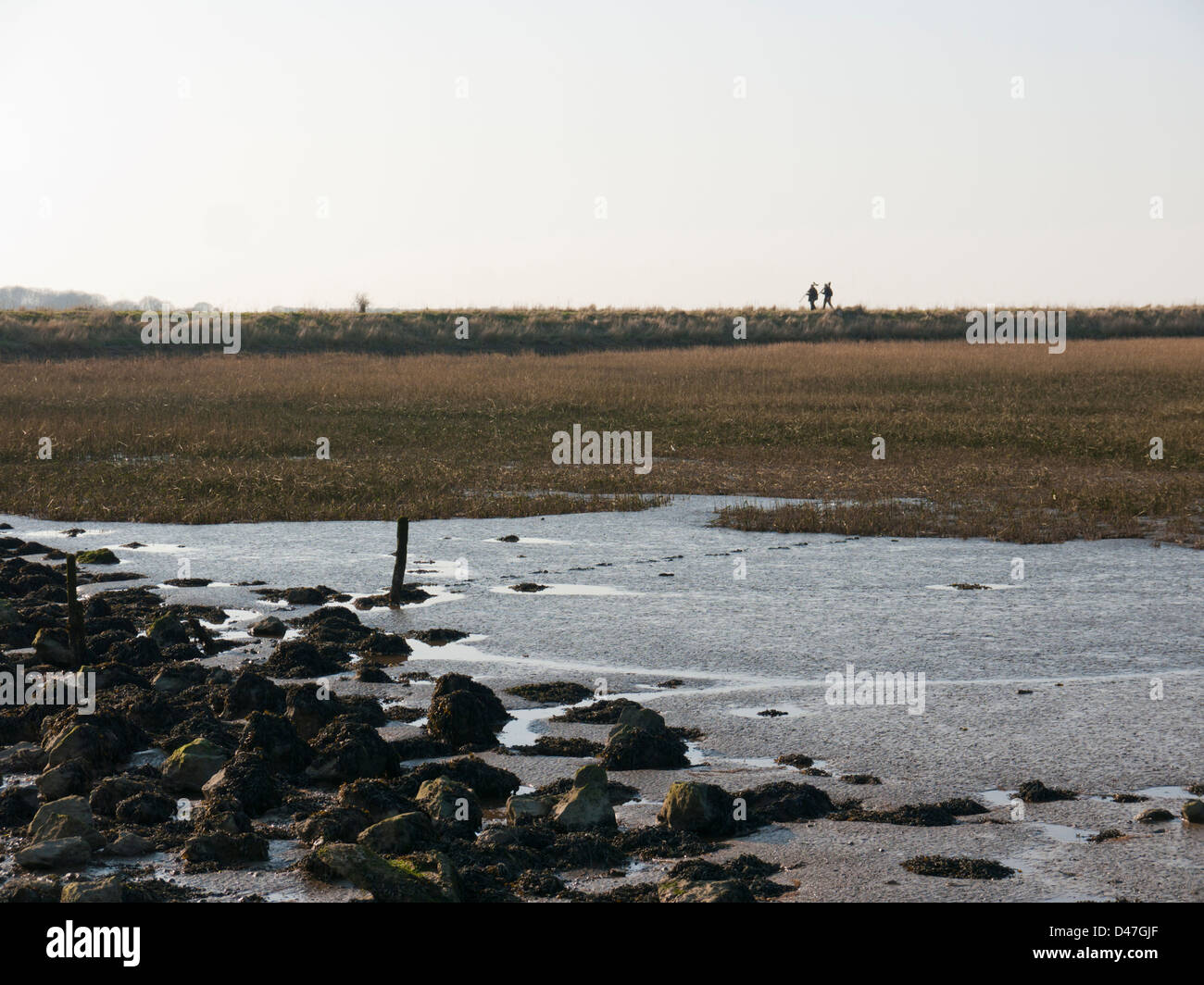 Harty Ferry High Resolution Stock Photography and Images - Alamy