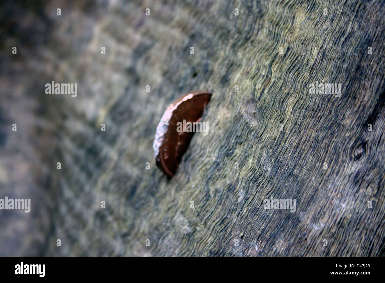 Penny drop hi-res stock photography and images - Alamy