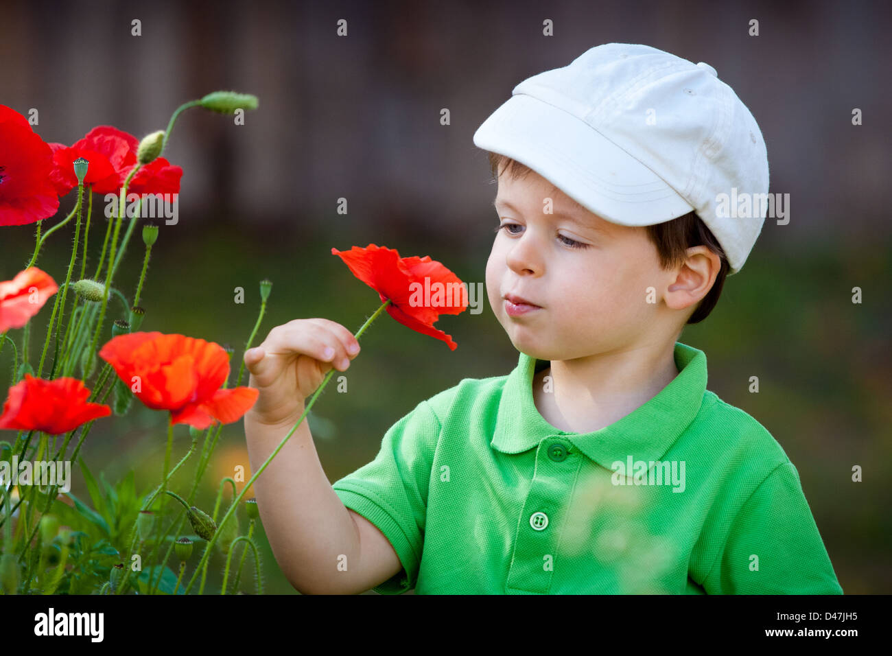 Cute little boy smells a wild flower Stock Photo - Alamy