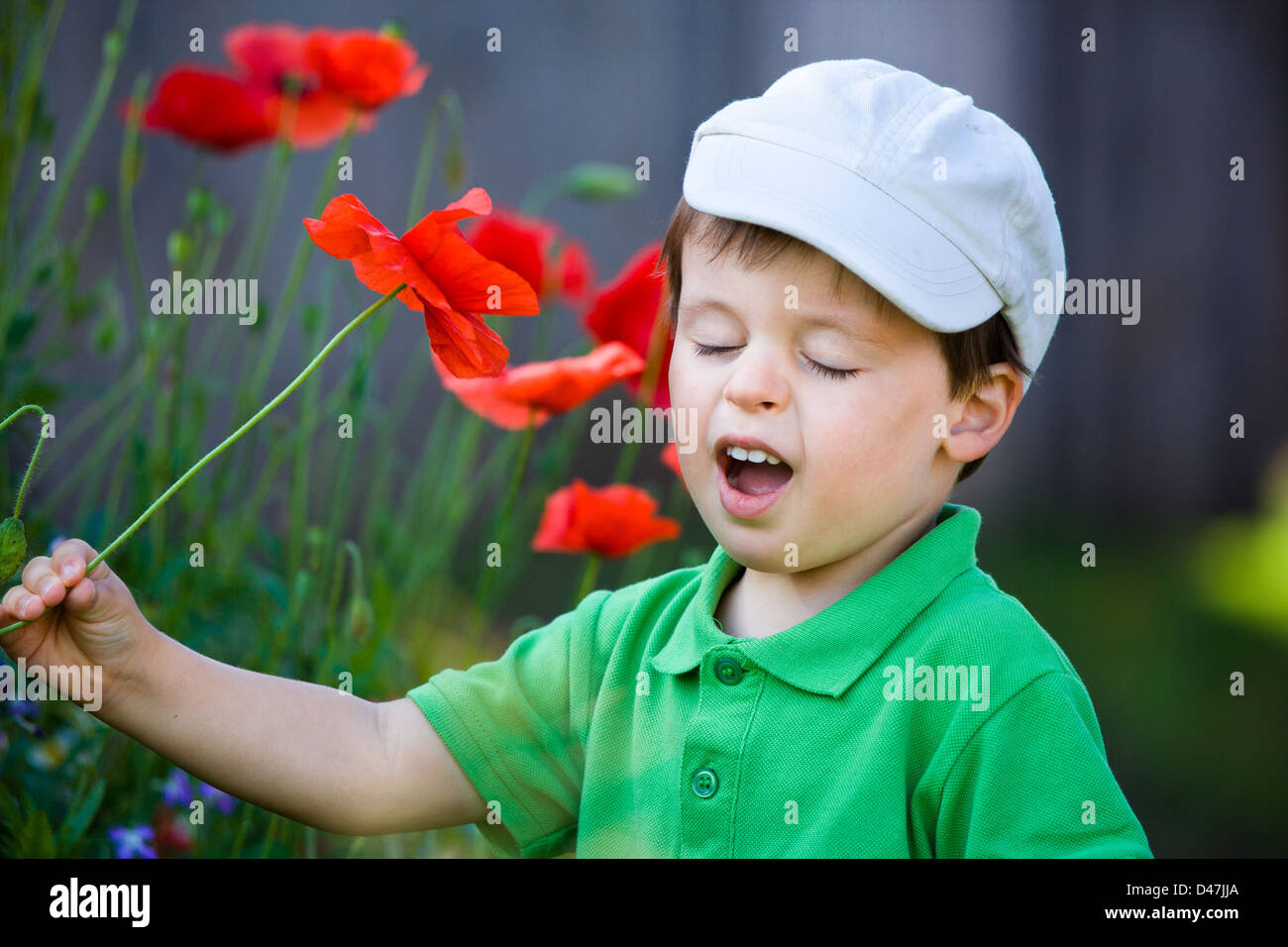 Cute little boy smells a wild flower Stock Photo - Alamy