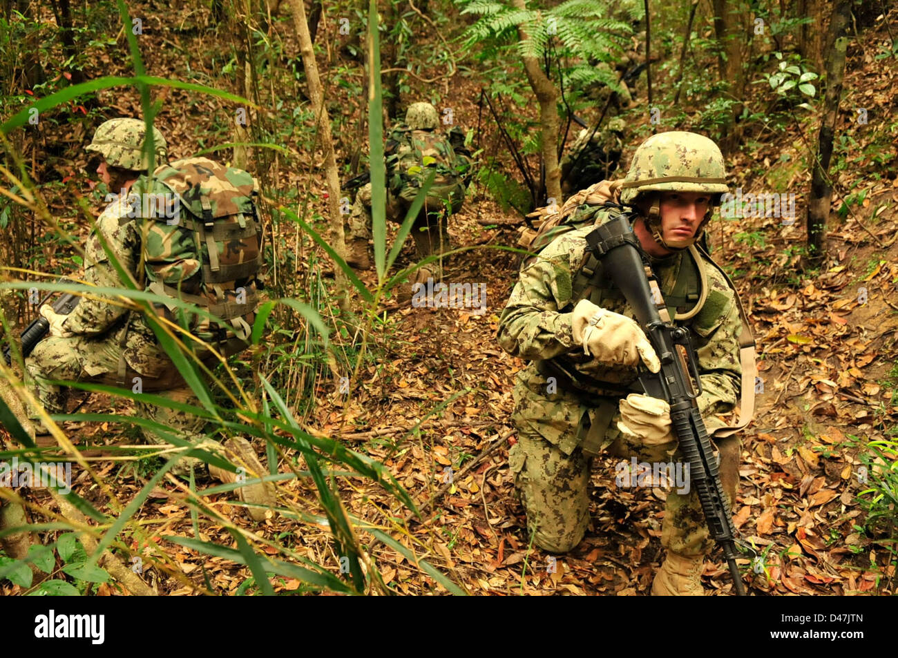 Jungle warfare training center hi-res stock photography and images - Alamy