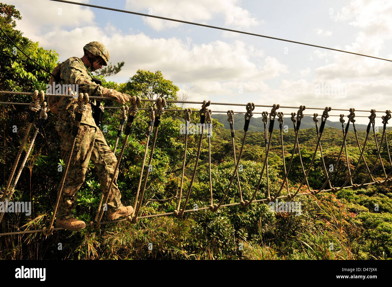 Seabees and Marines conduct jungle warfare training at the Jungle ...