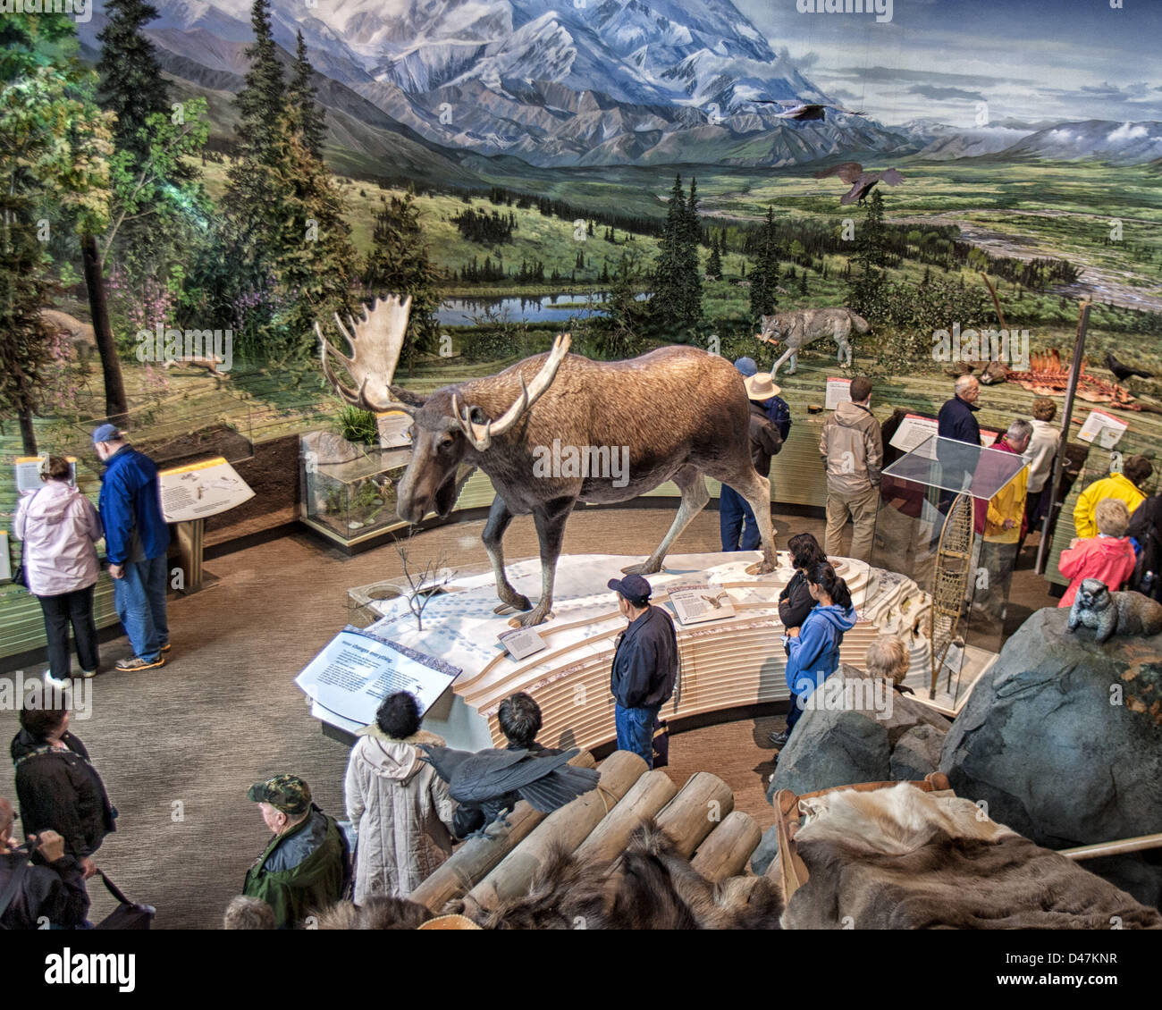 June 28, 2012 - Denali Borough, Alaska, US - Tourists view displays in ...
