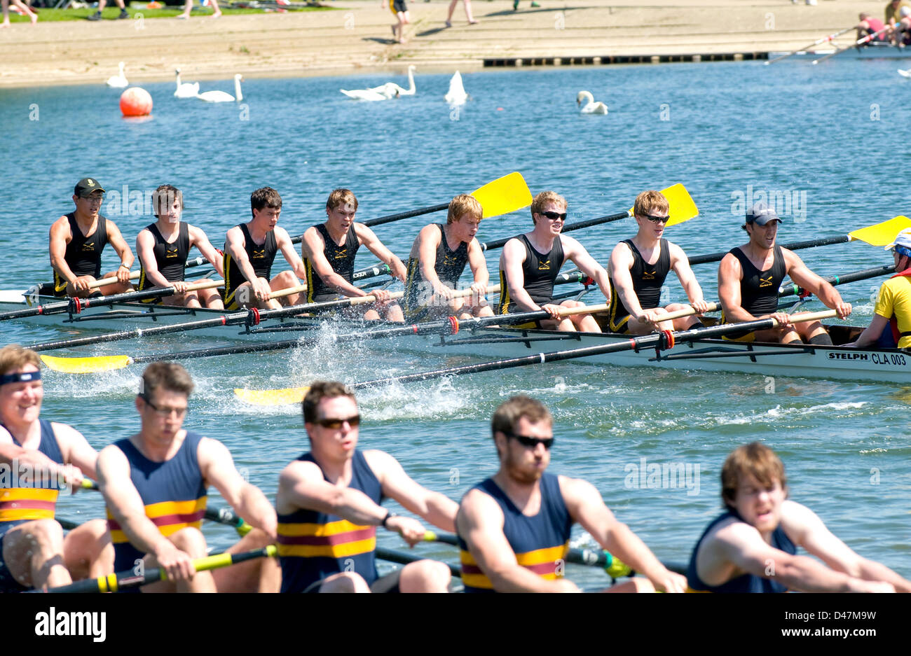 Rowing team finish hi-res stock photography and images - Alamy