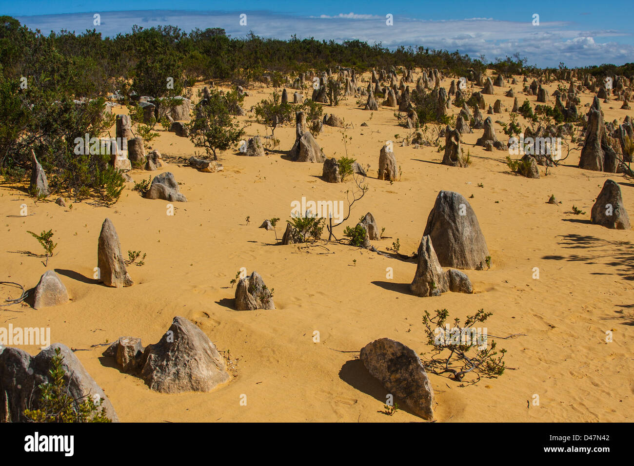 The pinacles australia hi-res stock photography and images - Alamy