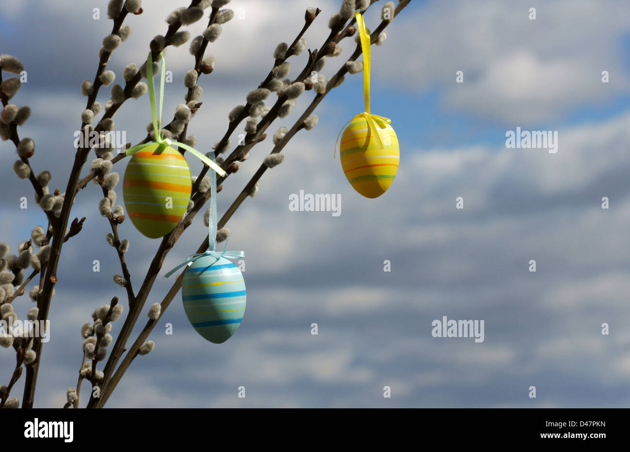 catkins and easter eags Stock Photo - Alamy