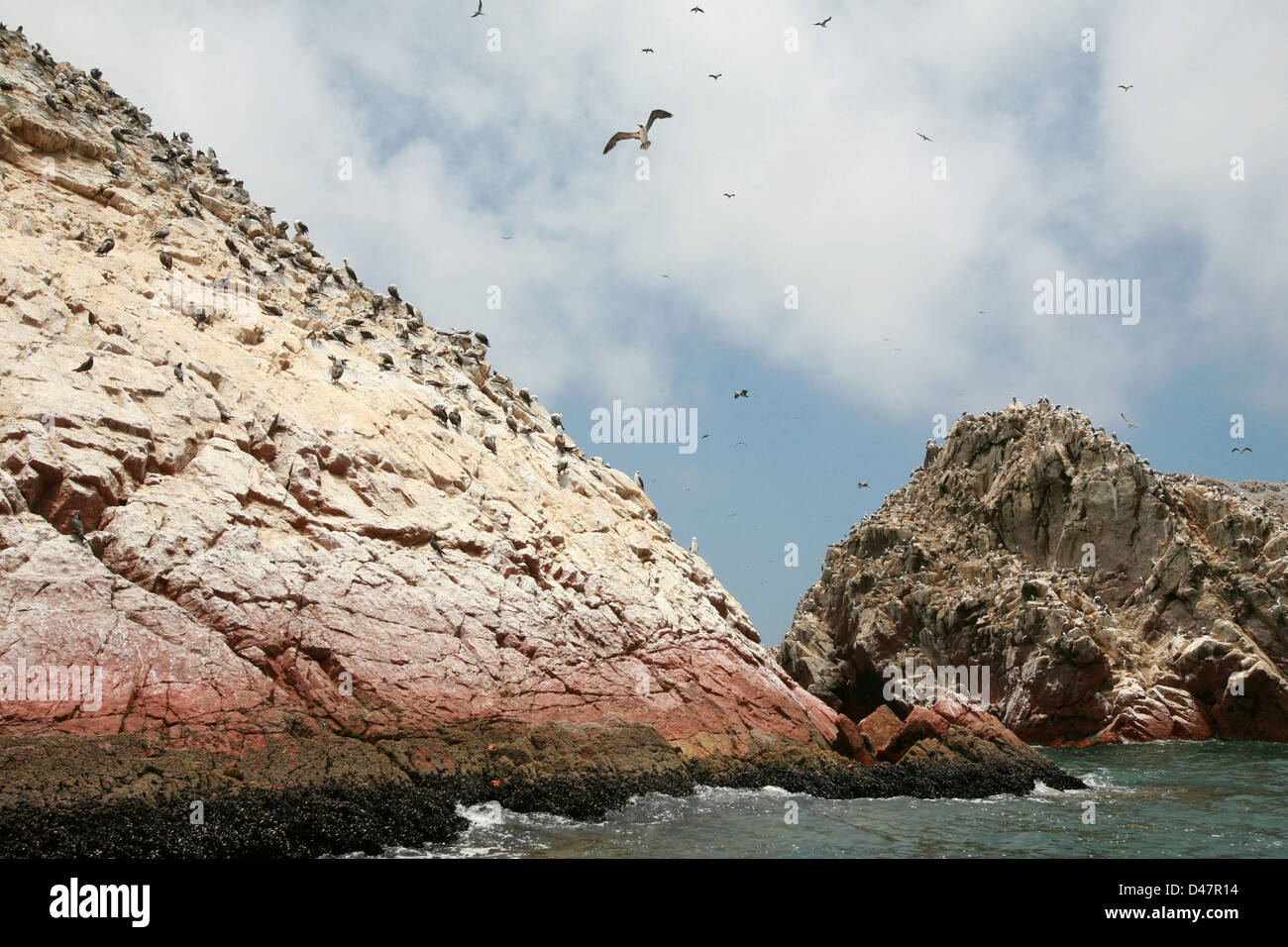 Ballestas islands Pacific Ocean Peru seabirds flying nesting on the ...