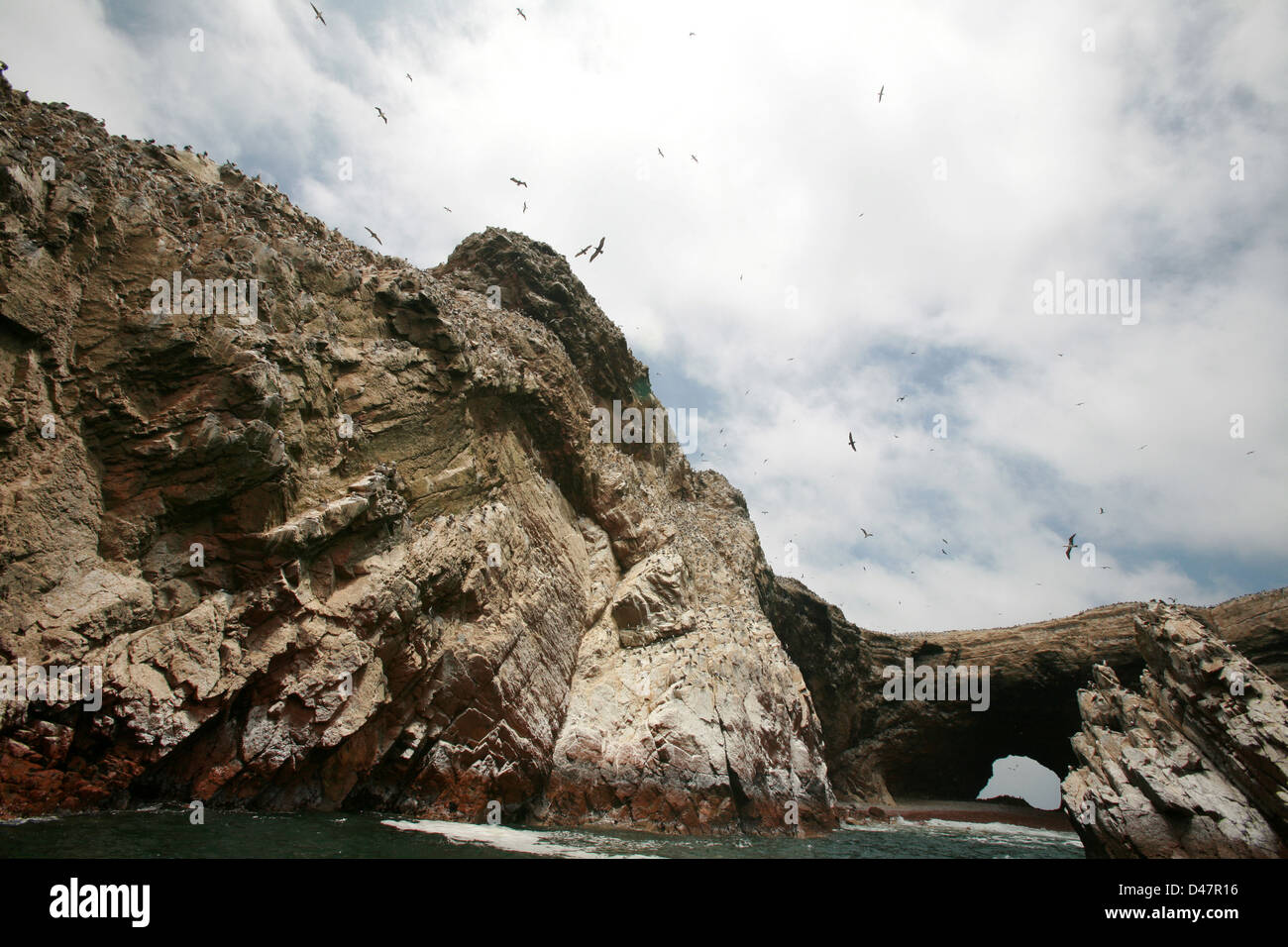 Ballestas islands, Pacific Ocean, Peru seabirds flying nesting on the ...