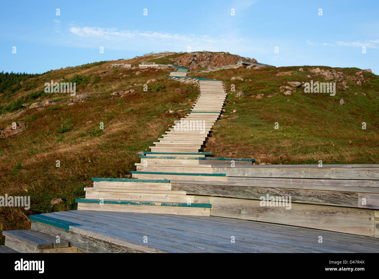 stairs of Skyline trail to the mountain top in Cape Breton Highlands ...