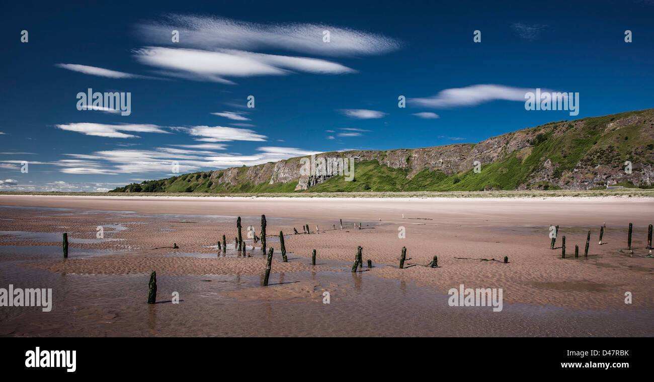 St cyrus nature reserve hi-res stock photography and images - Alamy