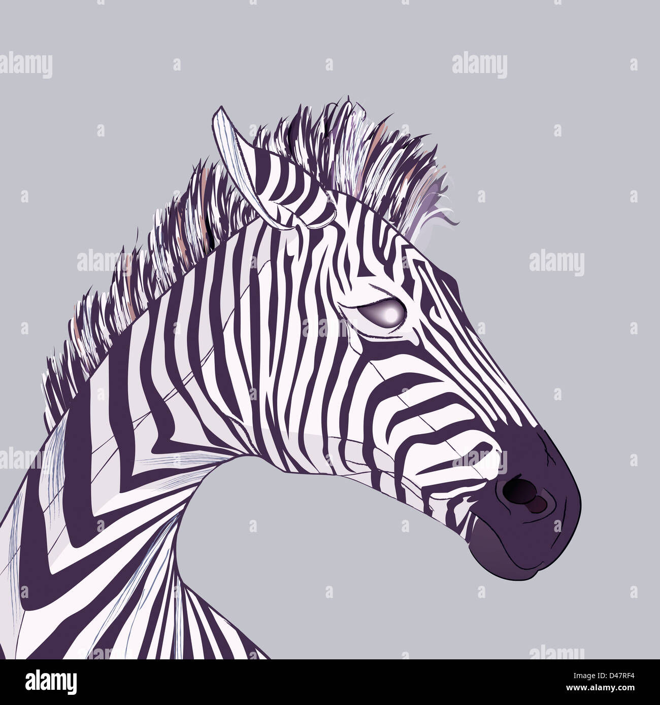 Zebra head, illustration drawing Stock Photo - Alamy