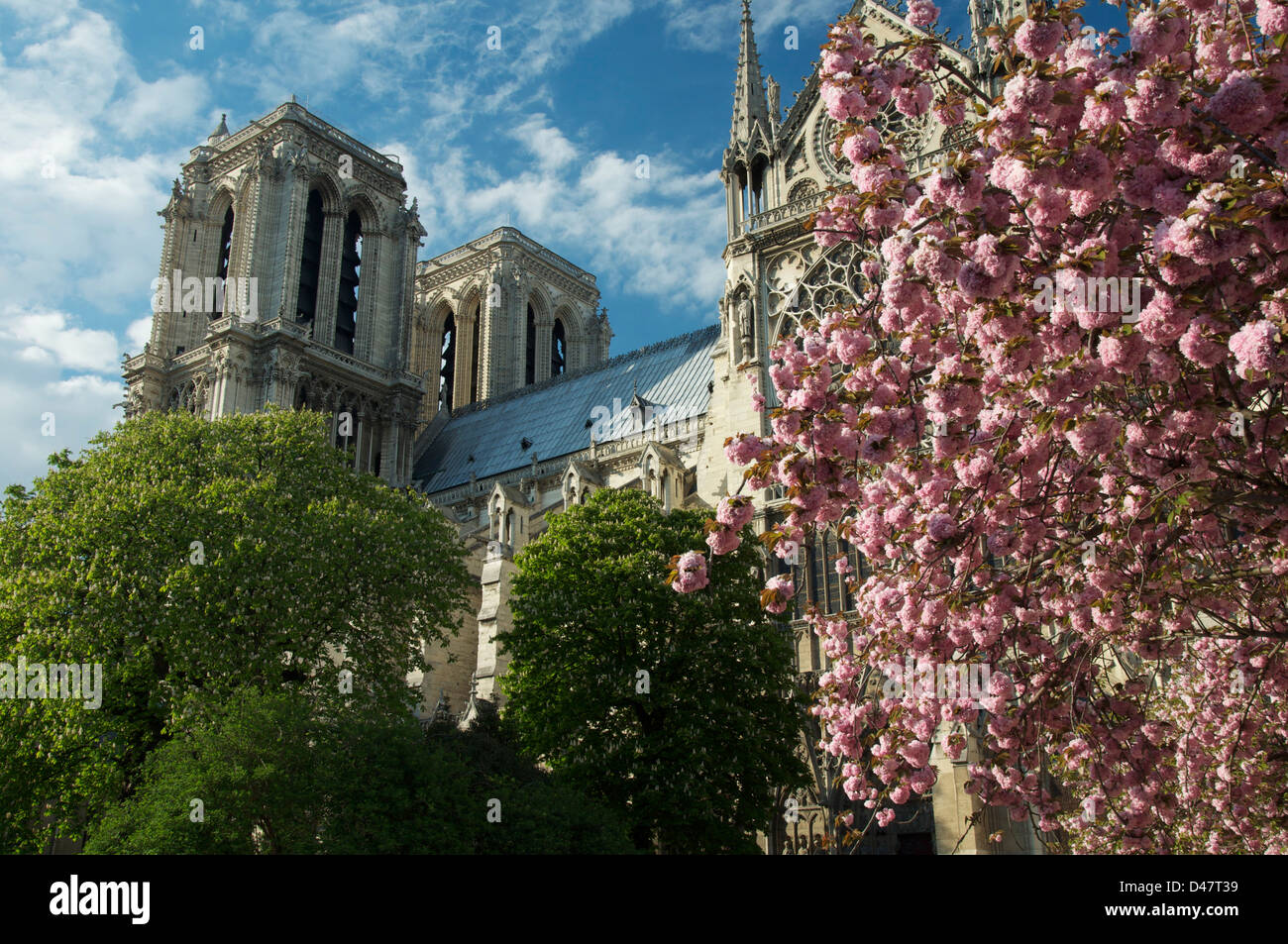French Gothic Notre Dame Cathedral, viewed from the Square du Jean ...