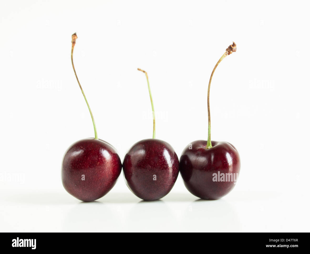 Row of freshly picked cherries on white background Stock Photo - Alamy