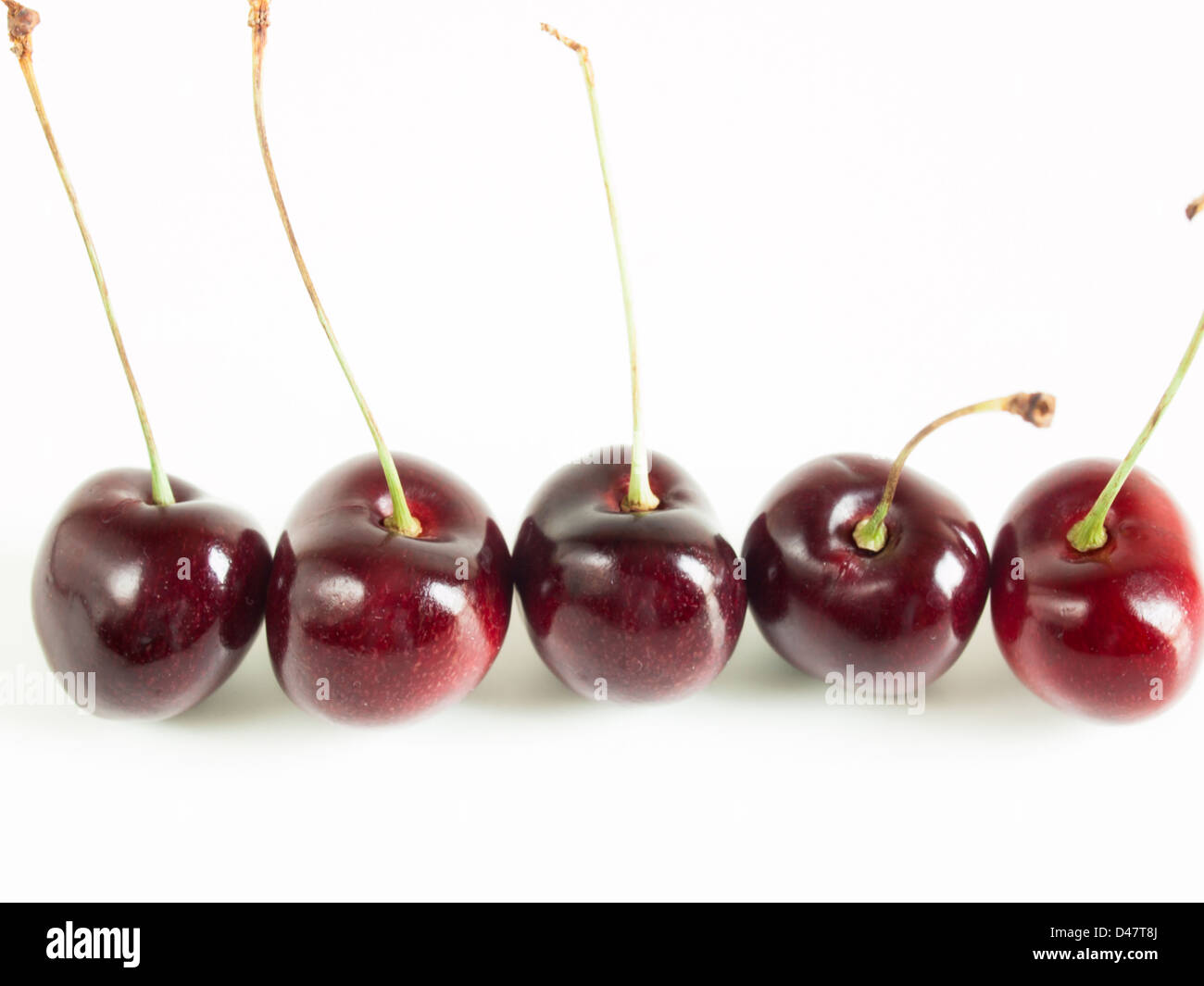 Row of freshly picked cherries on white background Stock Photo - Alamy