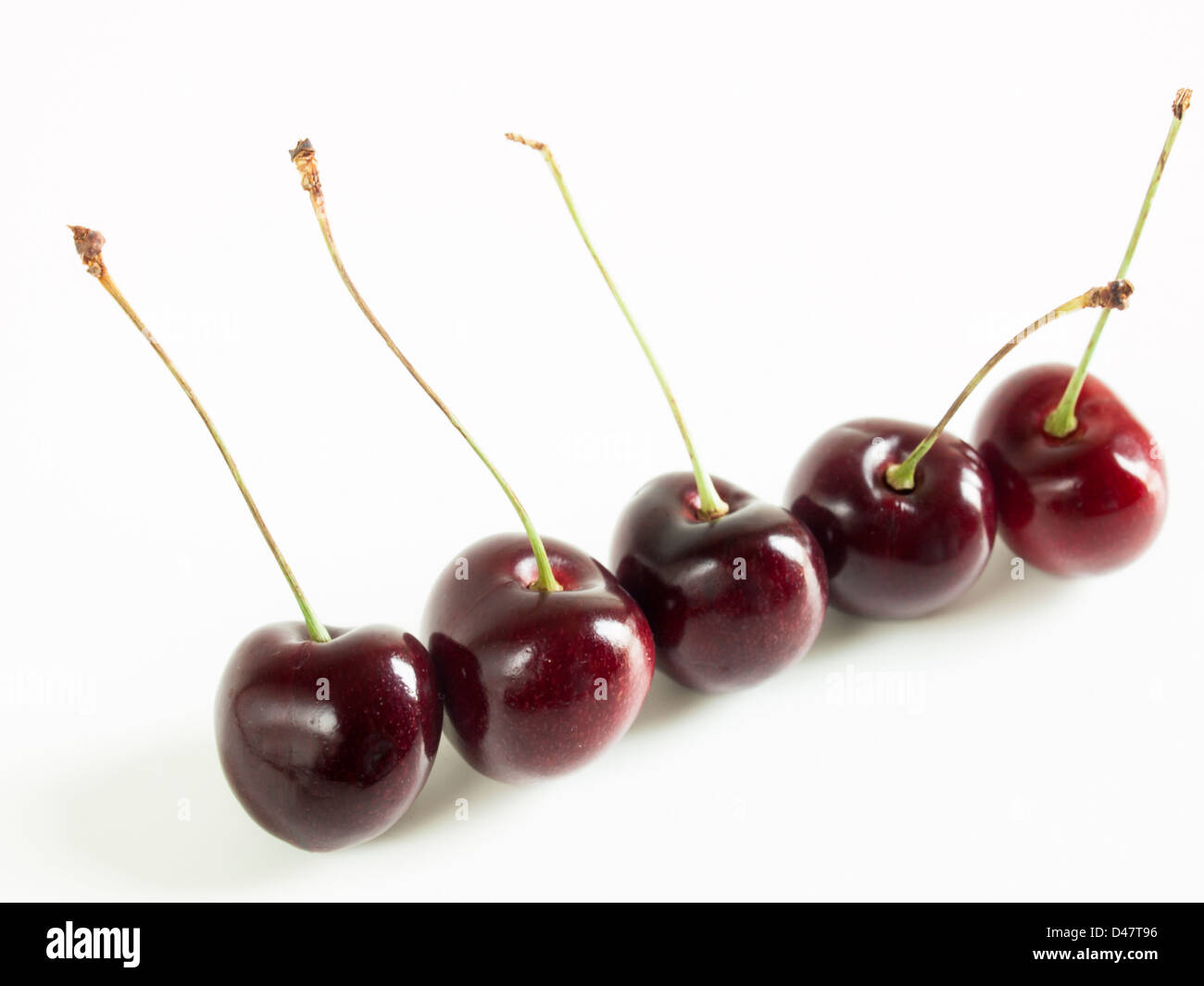 Row of freshly picked cherries on white background Stock Photo - Alamy