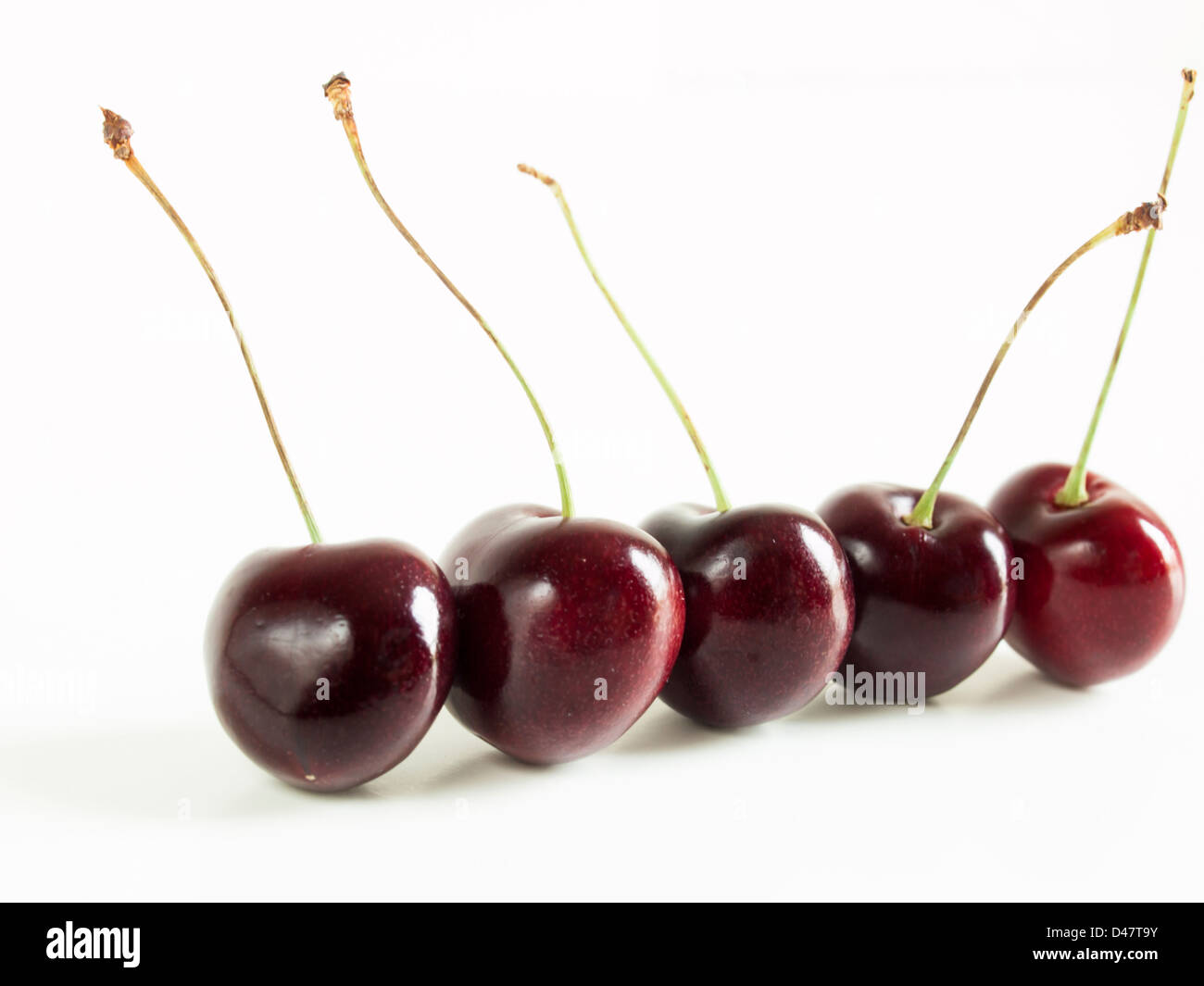 Row of freshly picked cherries on white background Stock Photo - Alamy