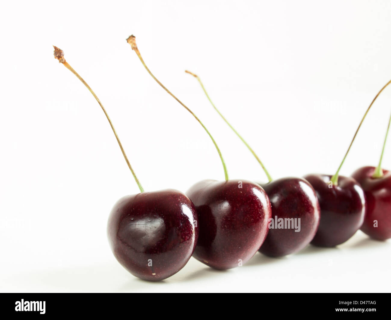 Row of freshly picked cherries on white background Stock Photo - Alamy
