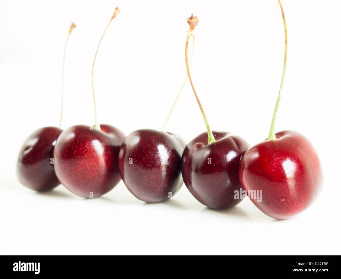 Row of freshly picked cherries on white background Stock Photo - Alamy