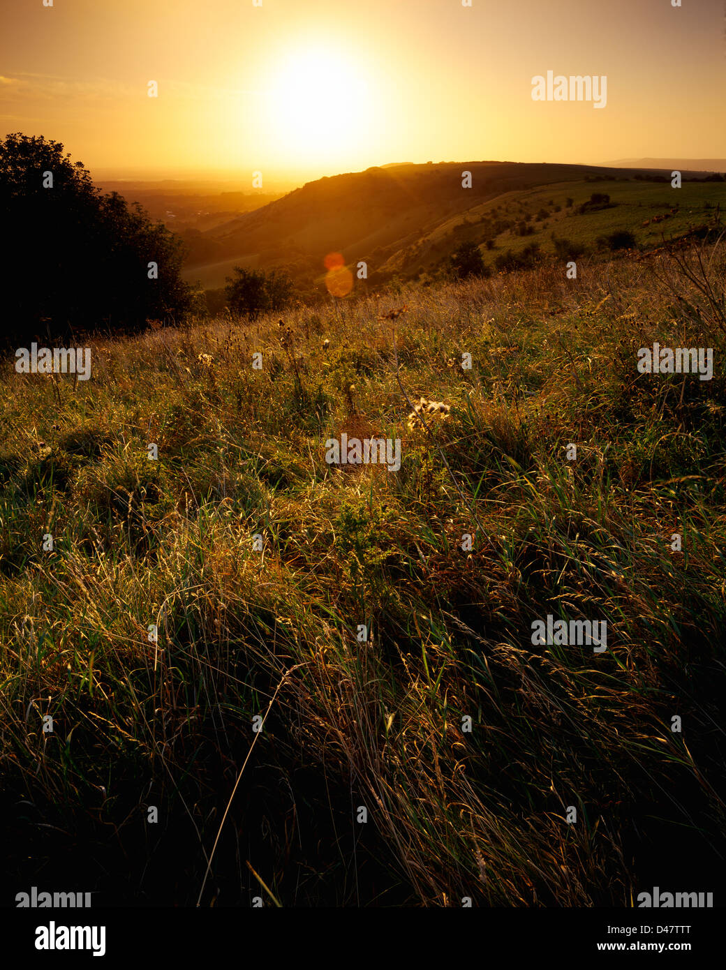 Ditchling beacon sunrise hi-res stock photography and images - Alamy