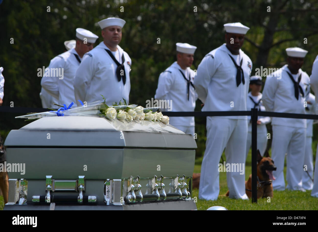 Canine handlers and their dogs stand at attention during the funeral ...