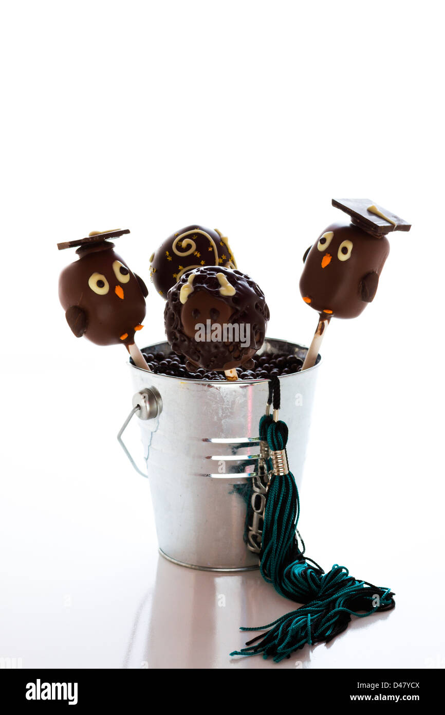 Gourmet chocolate cake pops decorated for graduation party Stock Photo ...
