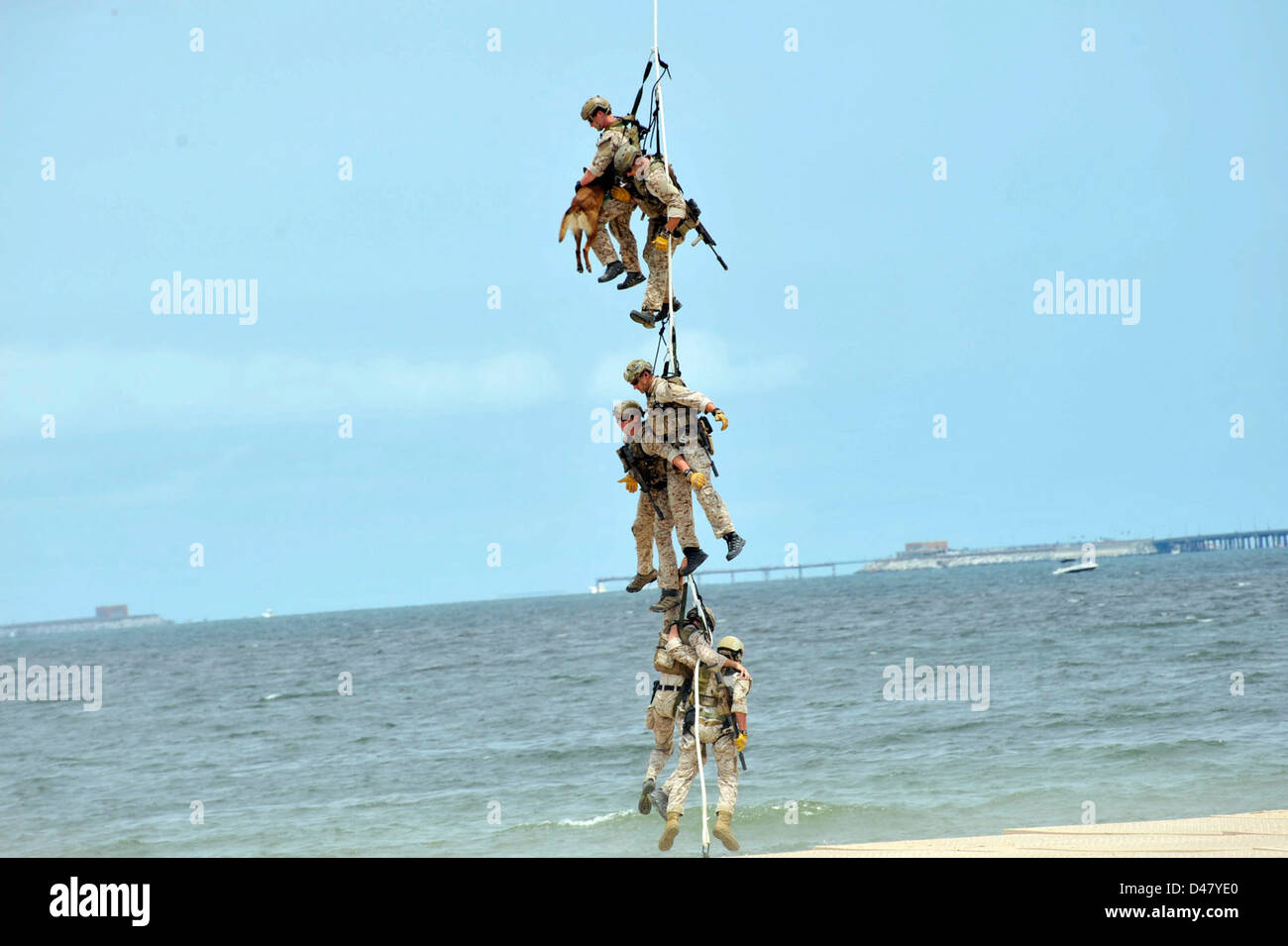 U s navy seals hi-res stock photography and images - Alamy