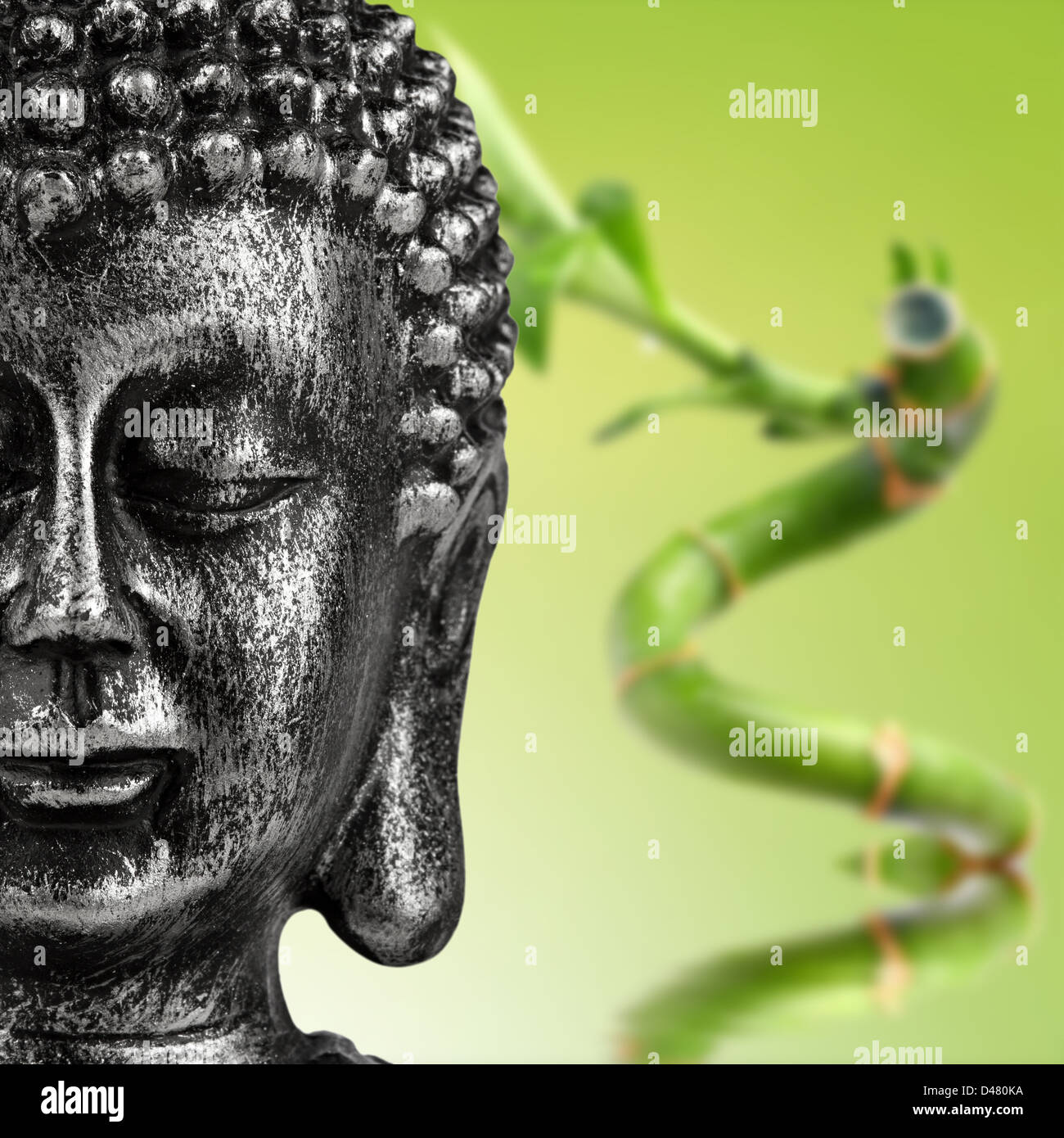 Chinese sacred bamboo hi-res stock photography and images - Alamy