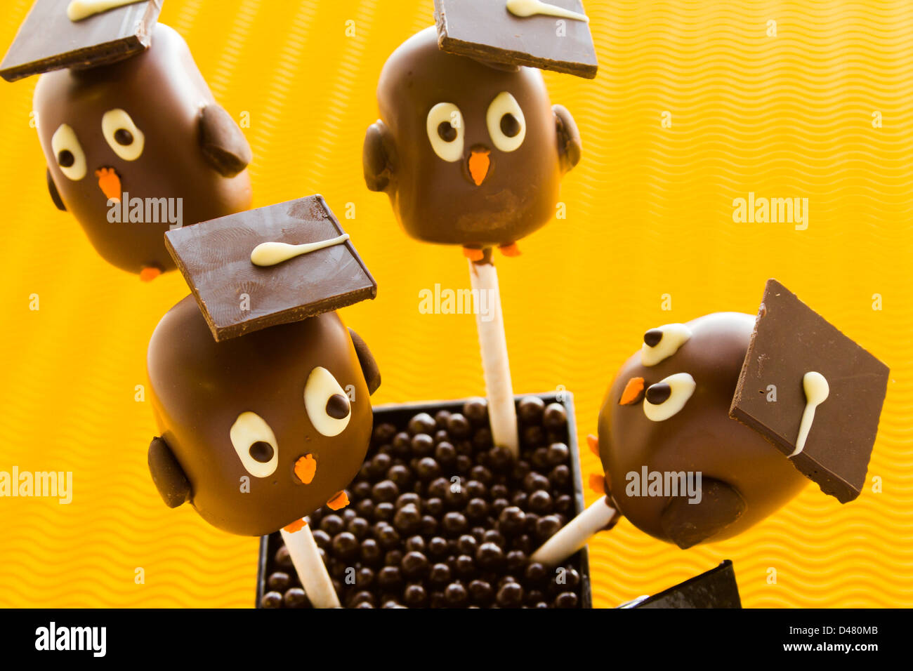 Gourmet chocolate cake pops decorated for graduation party Stock Photo ...