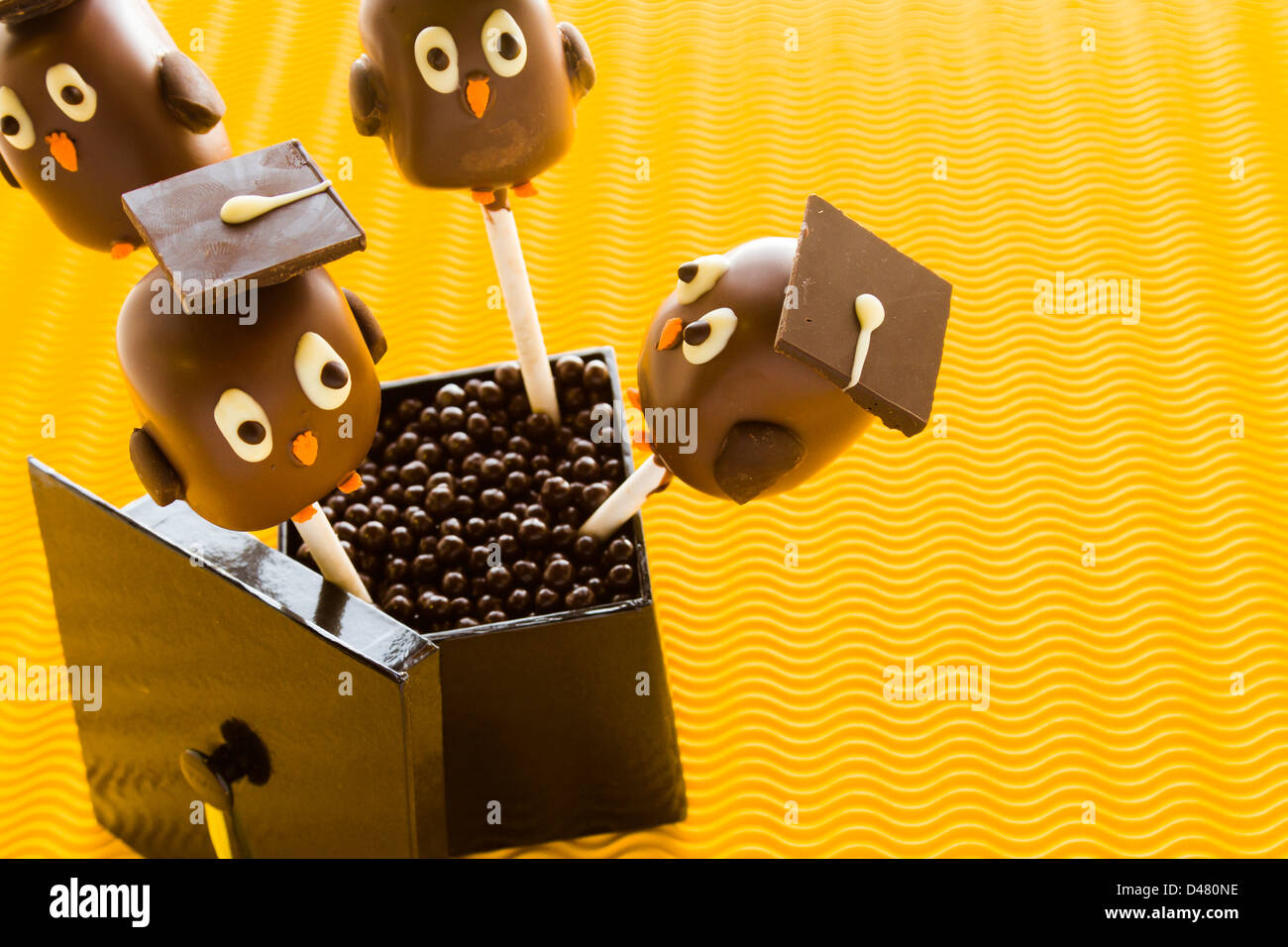 Gourmet chocolate cake pops decorated for graduation party Stock Photo ...