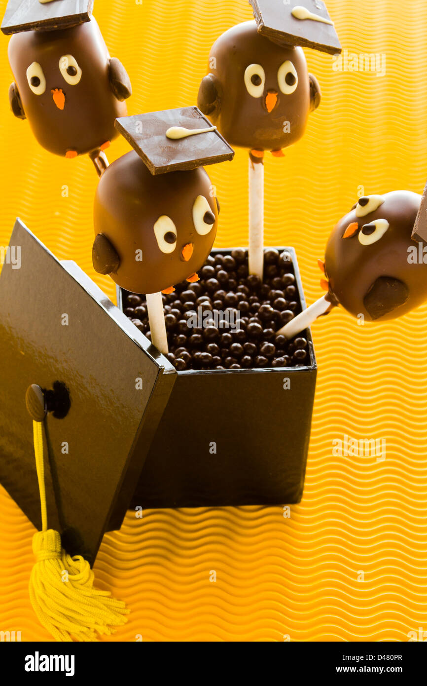 Gourmet chocolate cake pops decorated for graduation party Stock Photo ...