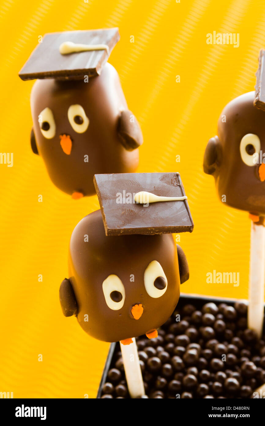 Gourmet chocolate cake pops decorated for graduation party Stock Photo ...
