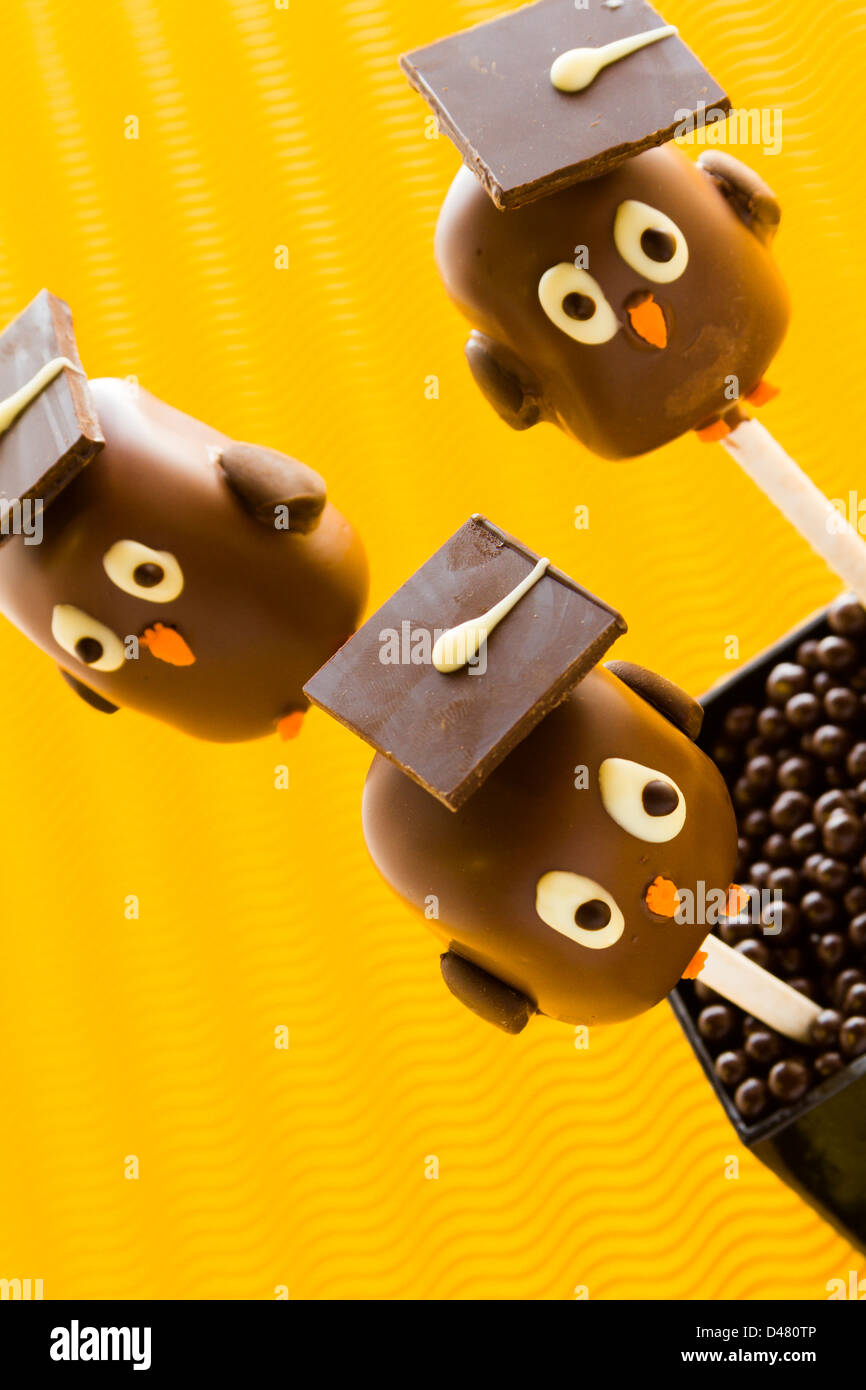 Gourmet chocolate cake pops decorated for graduation party Stock Photo ...