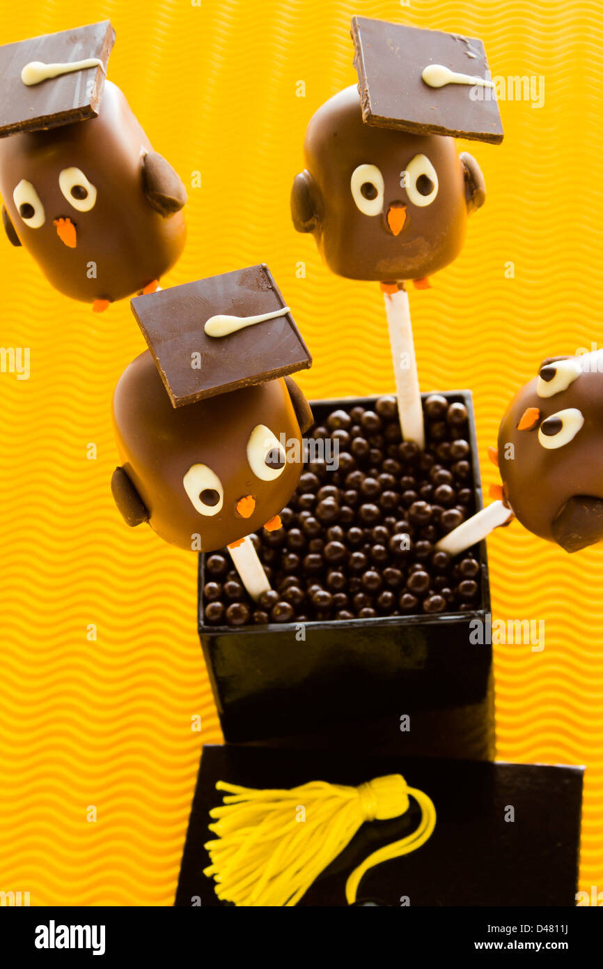 Gourmet chocolate cake pops decorated for graduation party Stock Photo ...