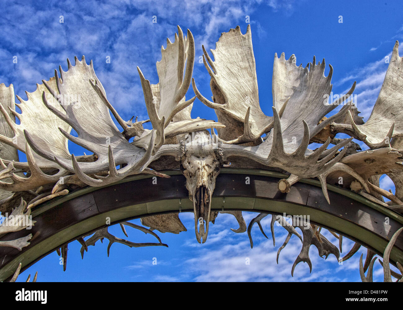 Moose antlers arch hi-res stock photography and images - Alamy