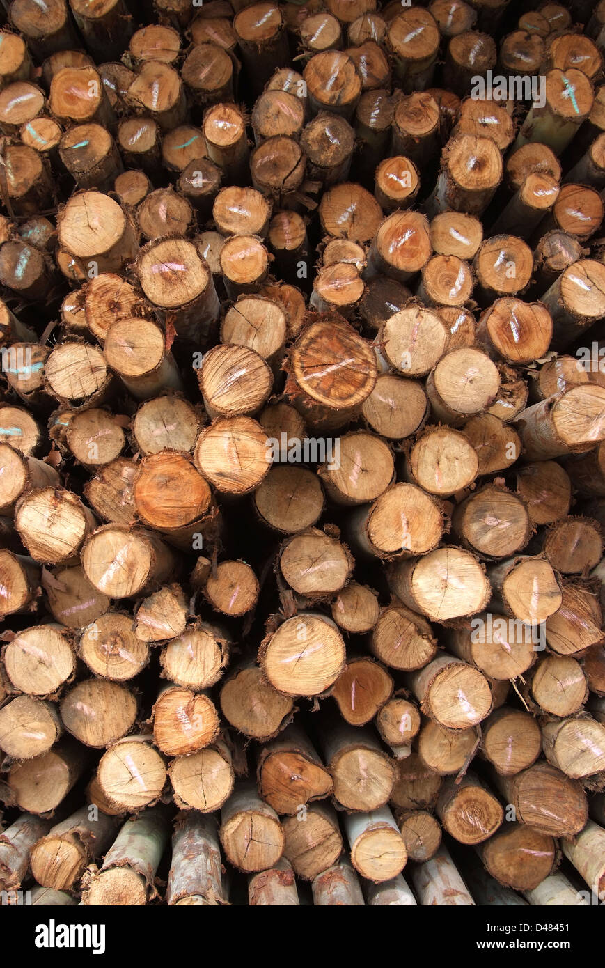 A pile of cut wood for construction ( texture, background, pattern ...