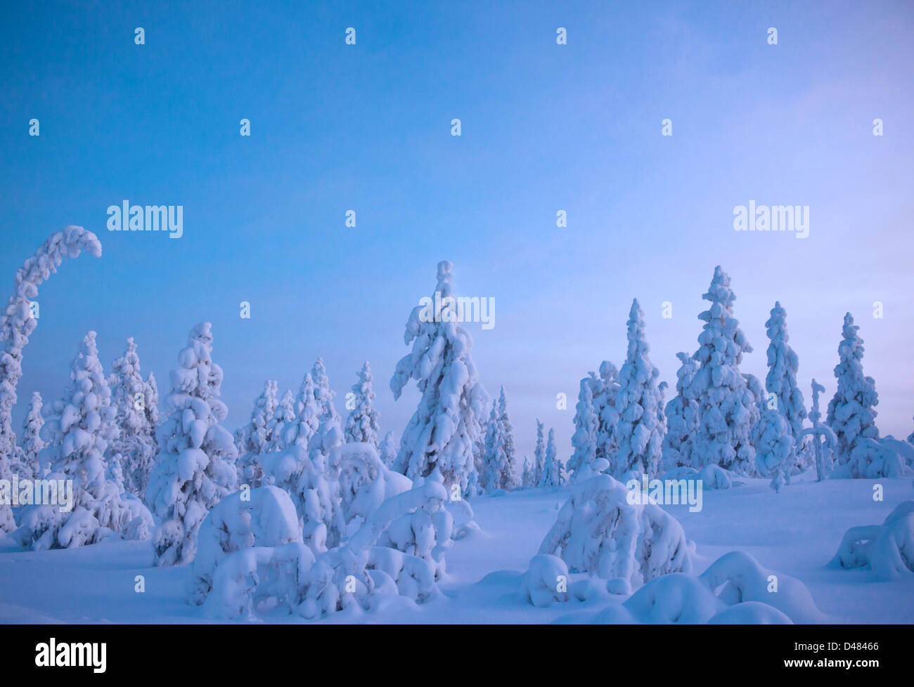 winter scenes with trees Stock Photo - Alamy