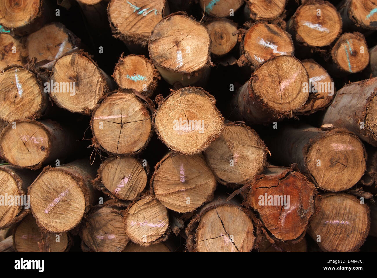A pile of cut wood for construction ( texture, background, pattern ...