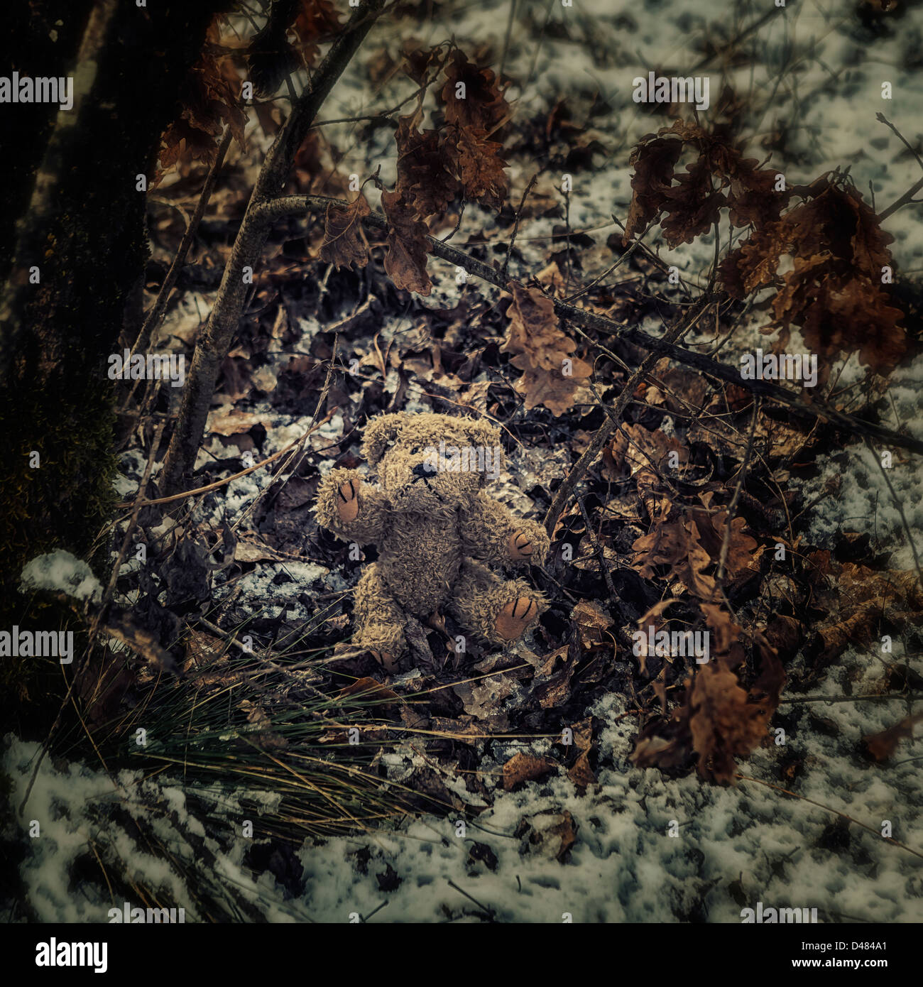 a teddy bear sitting under a tree in snow Stock Photo - Alamy