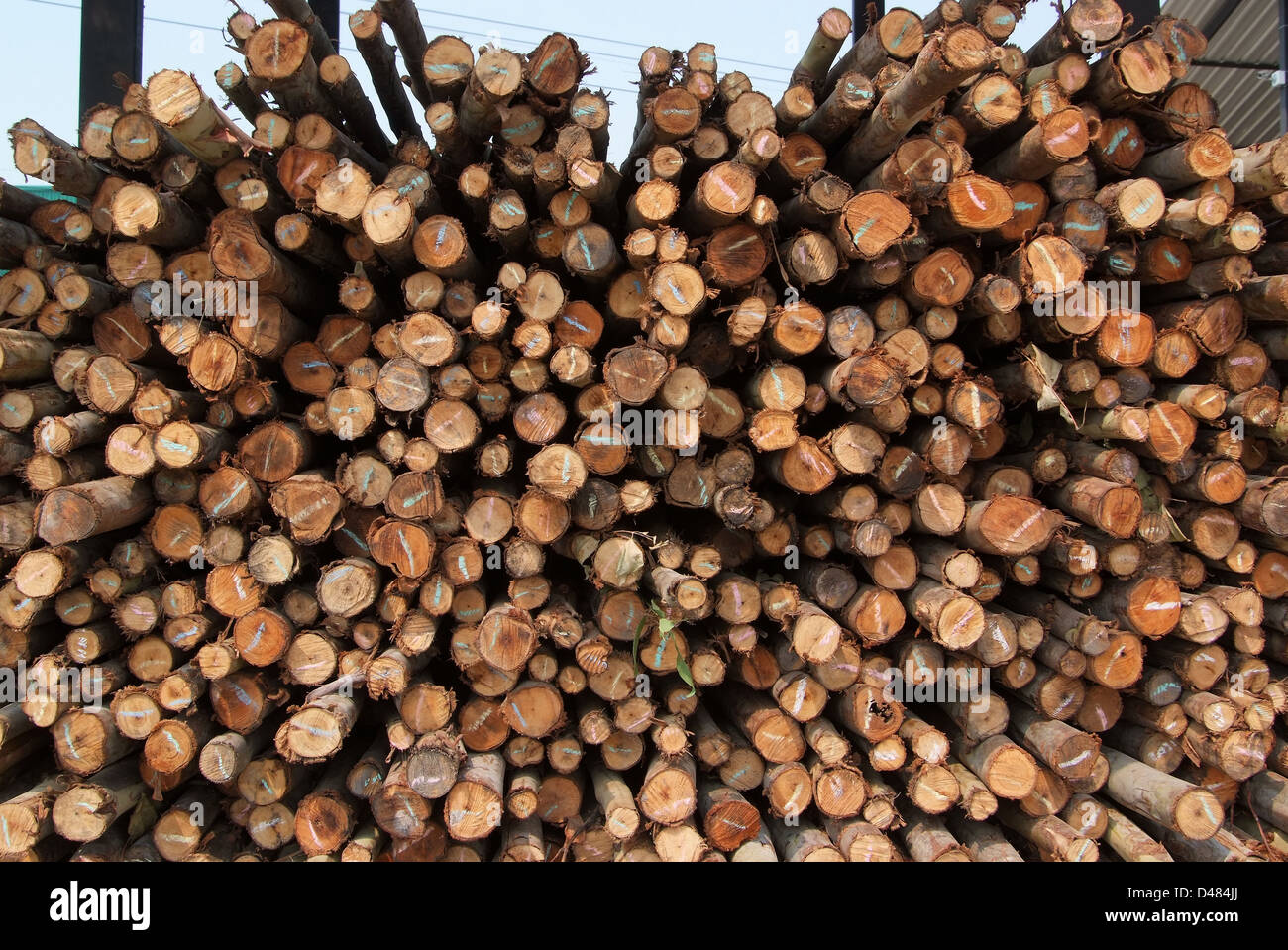 A pile of cut wood for construction ( texture, background, pattern ...