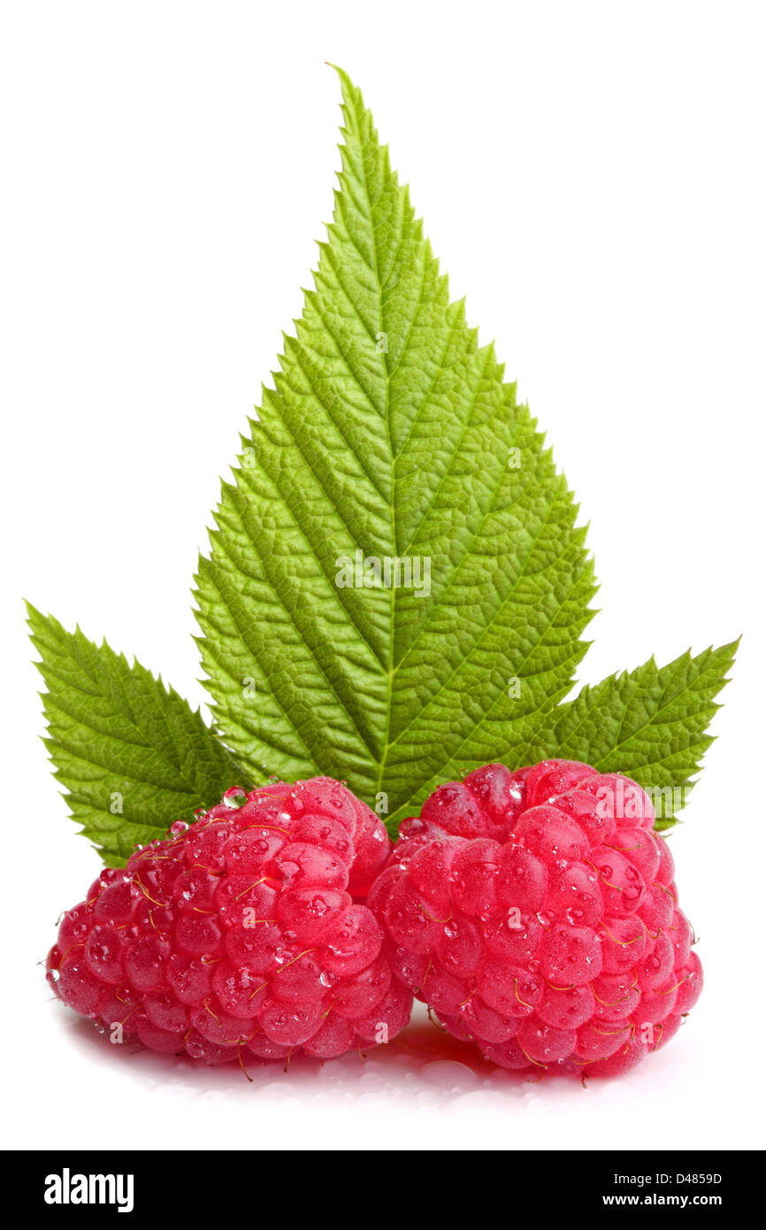 Raspberry fruit hi-res stock photography and images - Alamy