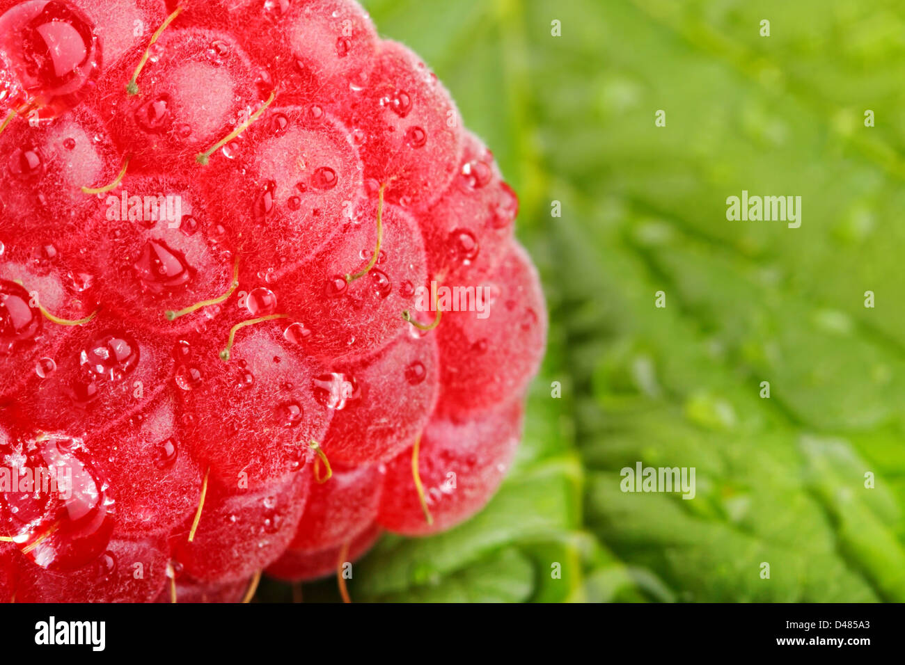 Raspberry water drops hi-res stock photography and images - Alamy
