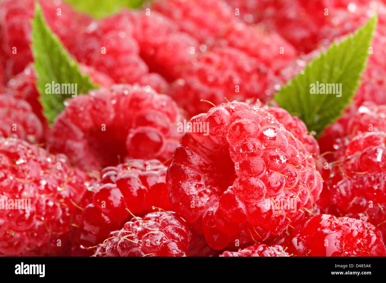 Raspberry fruit hi-res stock photography and images - Alamy