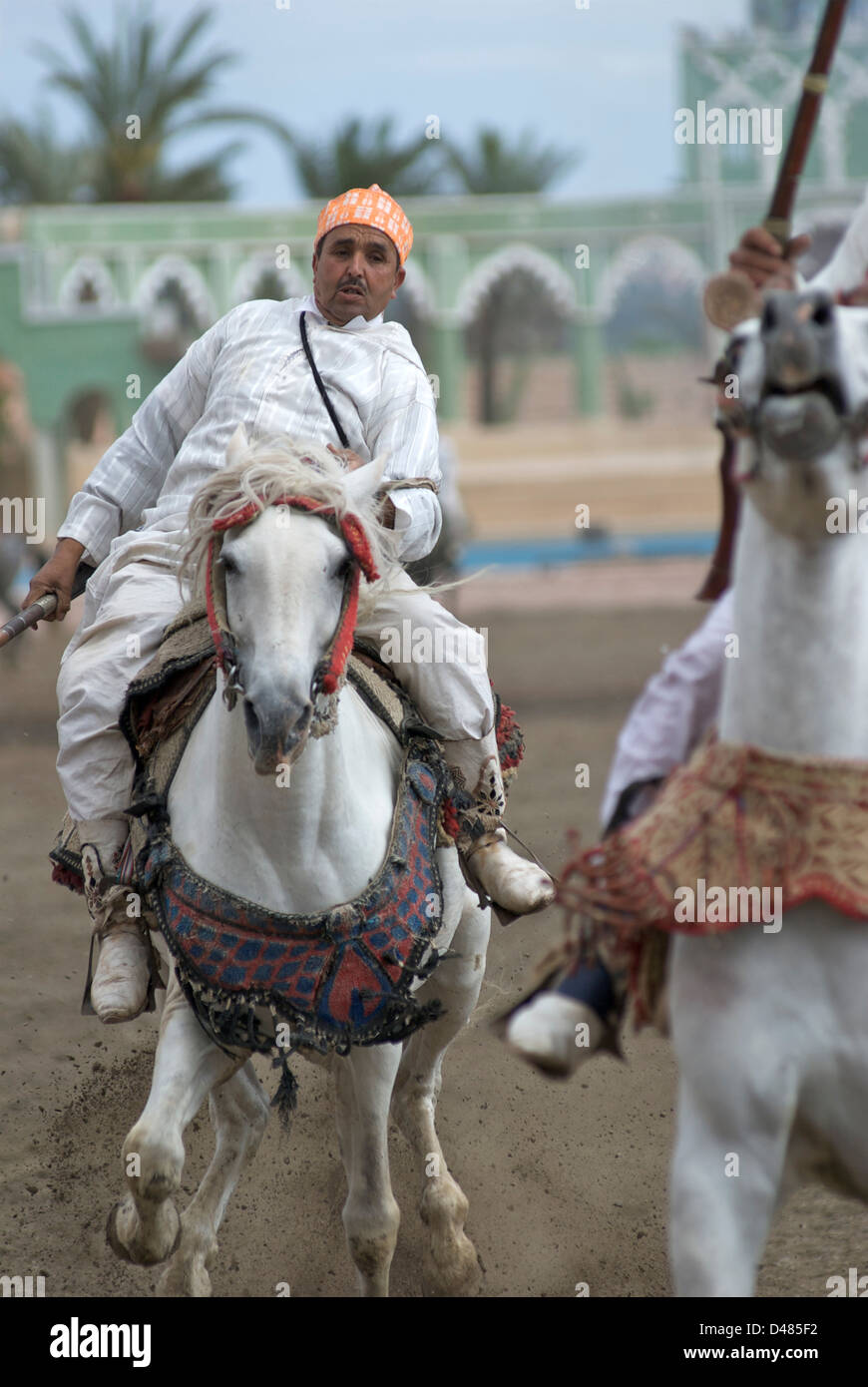 Arabic horseman riding a white horse in Marrakesh Stock Photo - Alamy