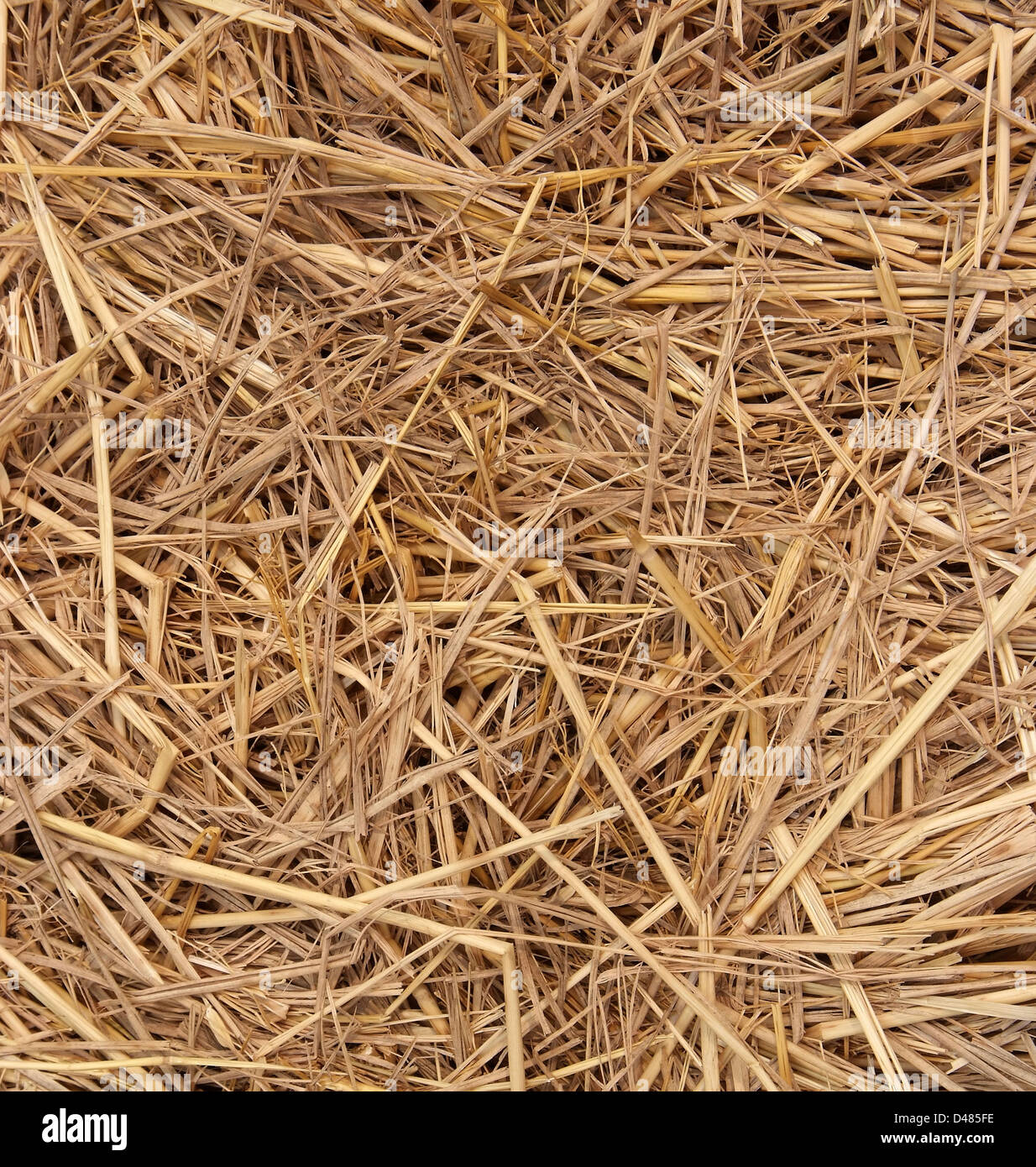 Straw bale texture hi-res stock photography and images - Alamy
