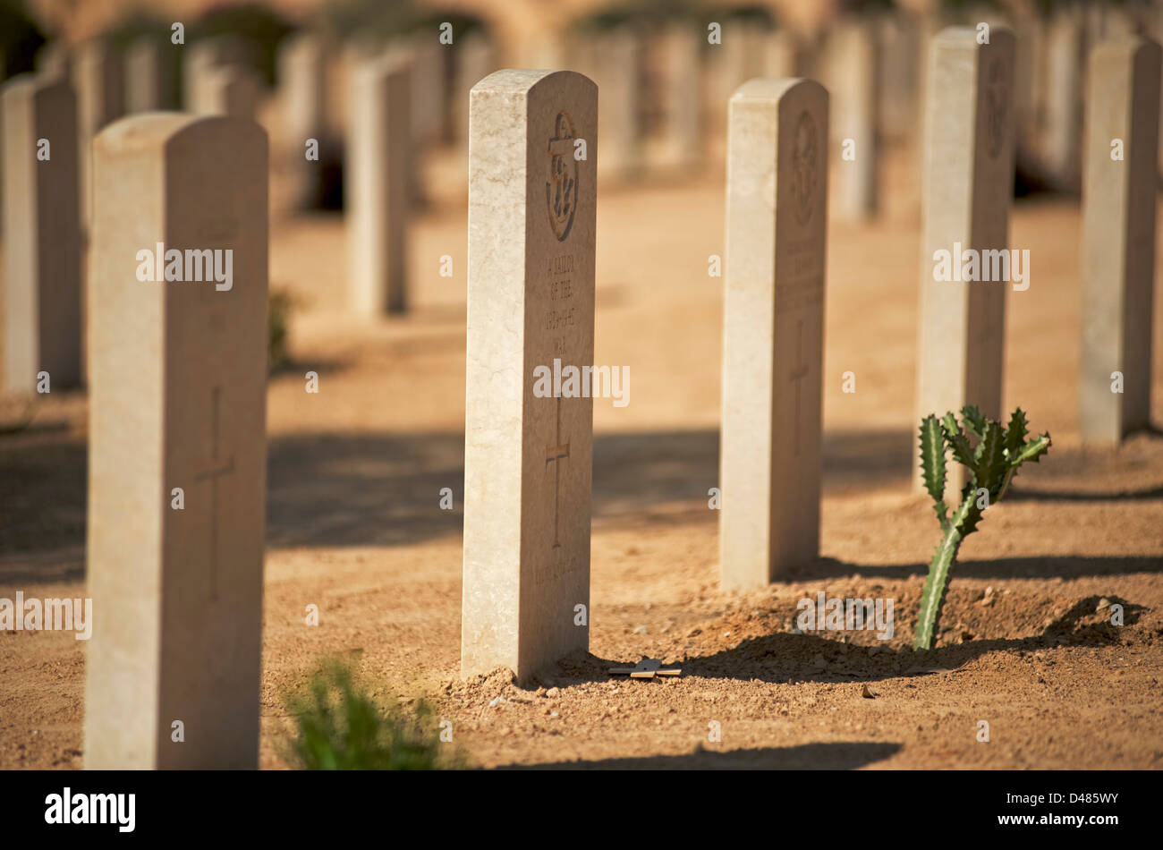 War graves in the Saharan Desert at the Commonwealth Cemetery in El ...