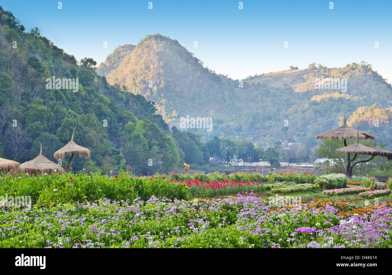 Resort floral flowers flower hi-res stock photography and images - Alamy