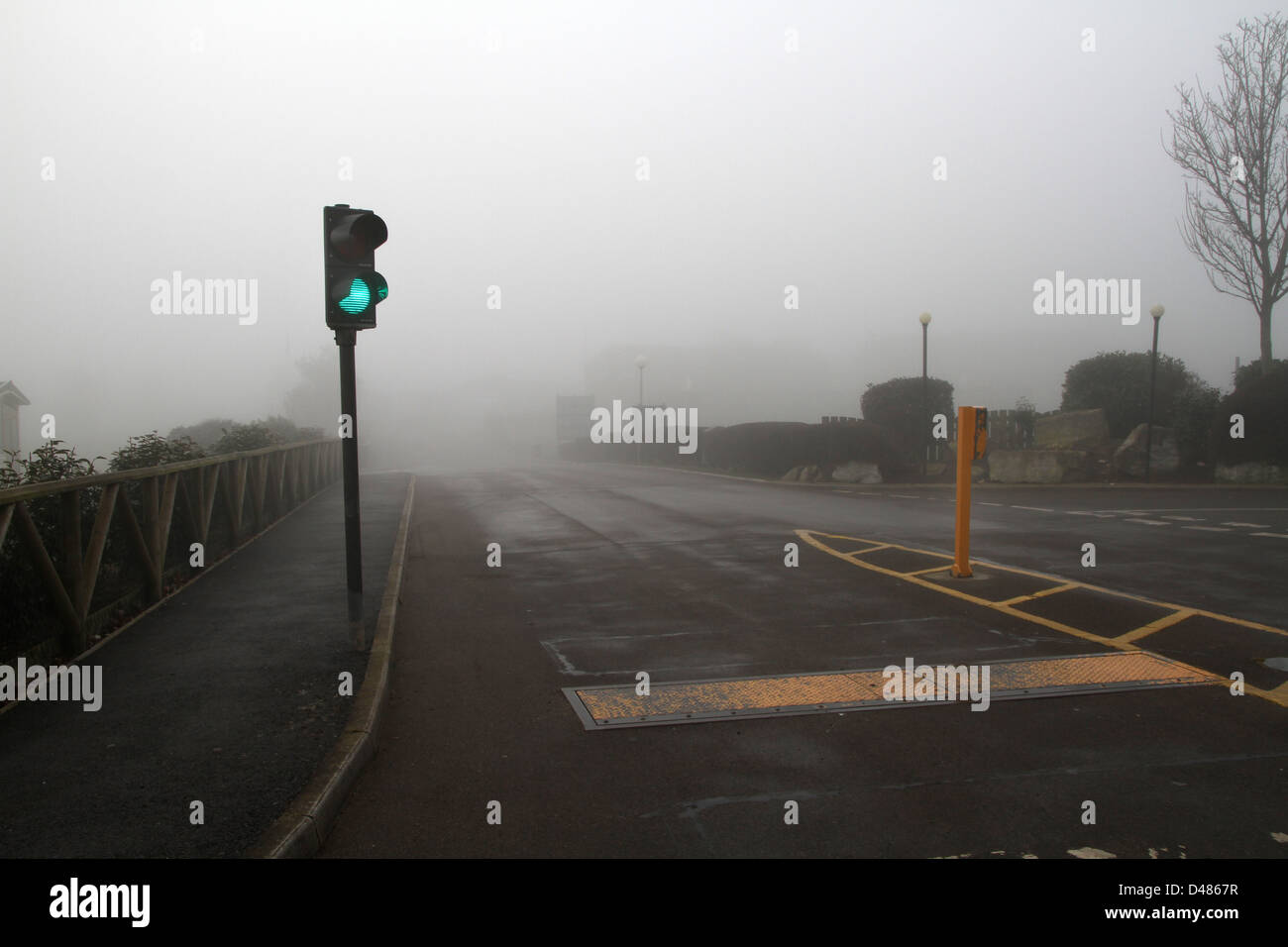 Heavy fog and traffic light Stock Photo - Alamy