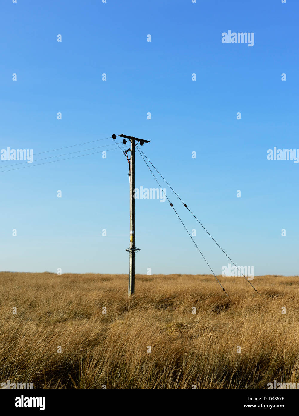 Electricity power lines in grassy field. Shap, Cumbria, England, United ...